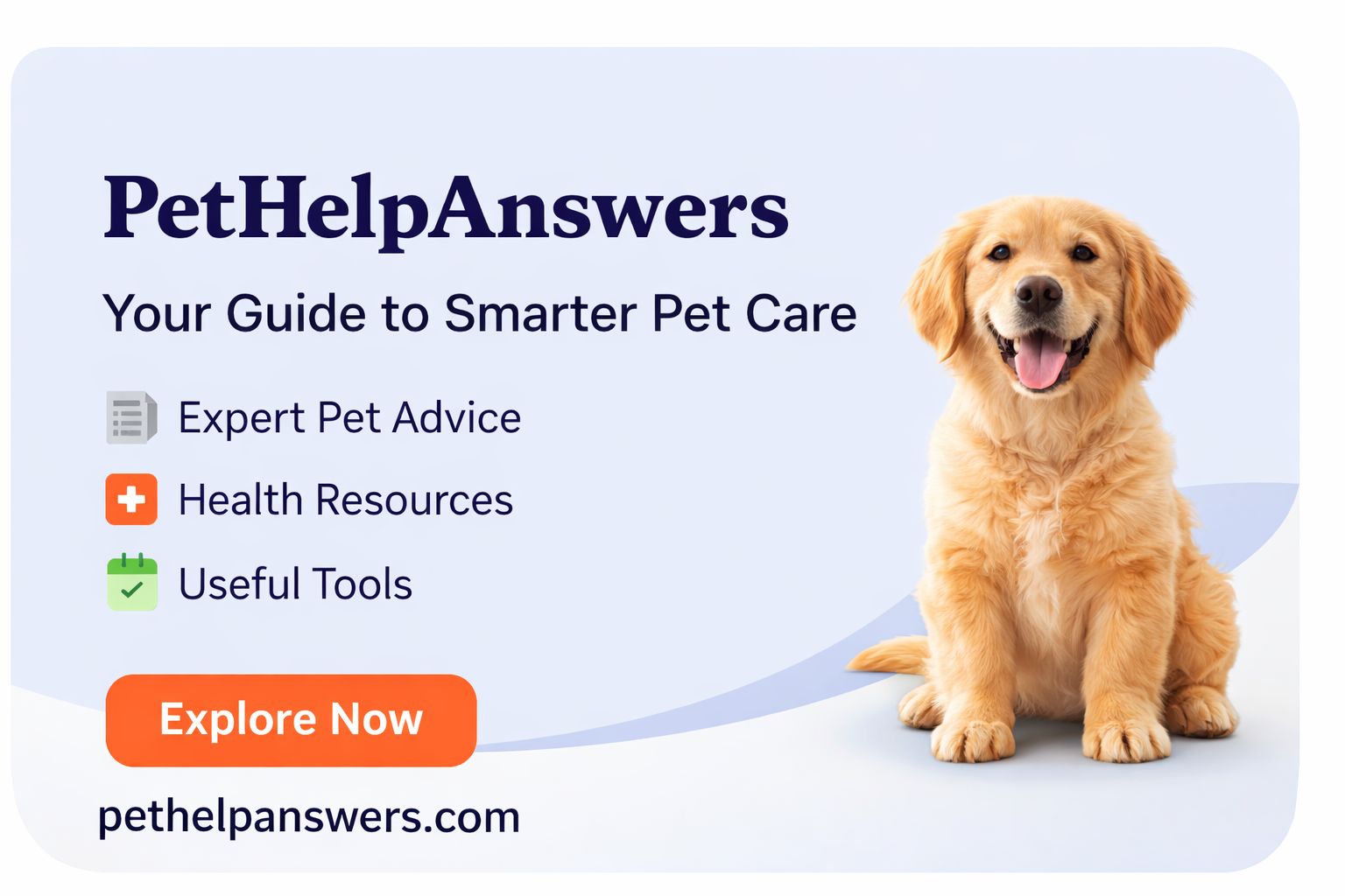 Can You Fly With Your Pet in the Cabin? 2026 Airline Guide | PetHelpAnswers